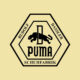 Chasing Puma's Iconic Cat Logo - BLOG | FOOTDISTRICT