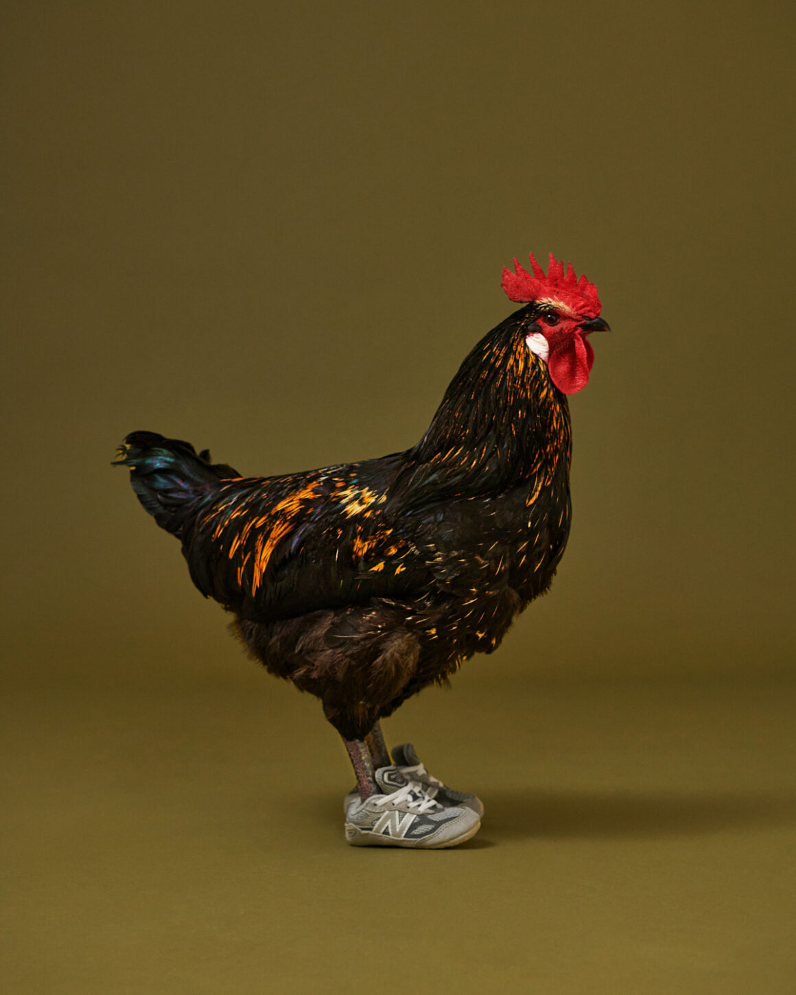 New Balance Made in USA: craftsmanship. And chickens. – BLOG | FOOTDISTRICT