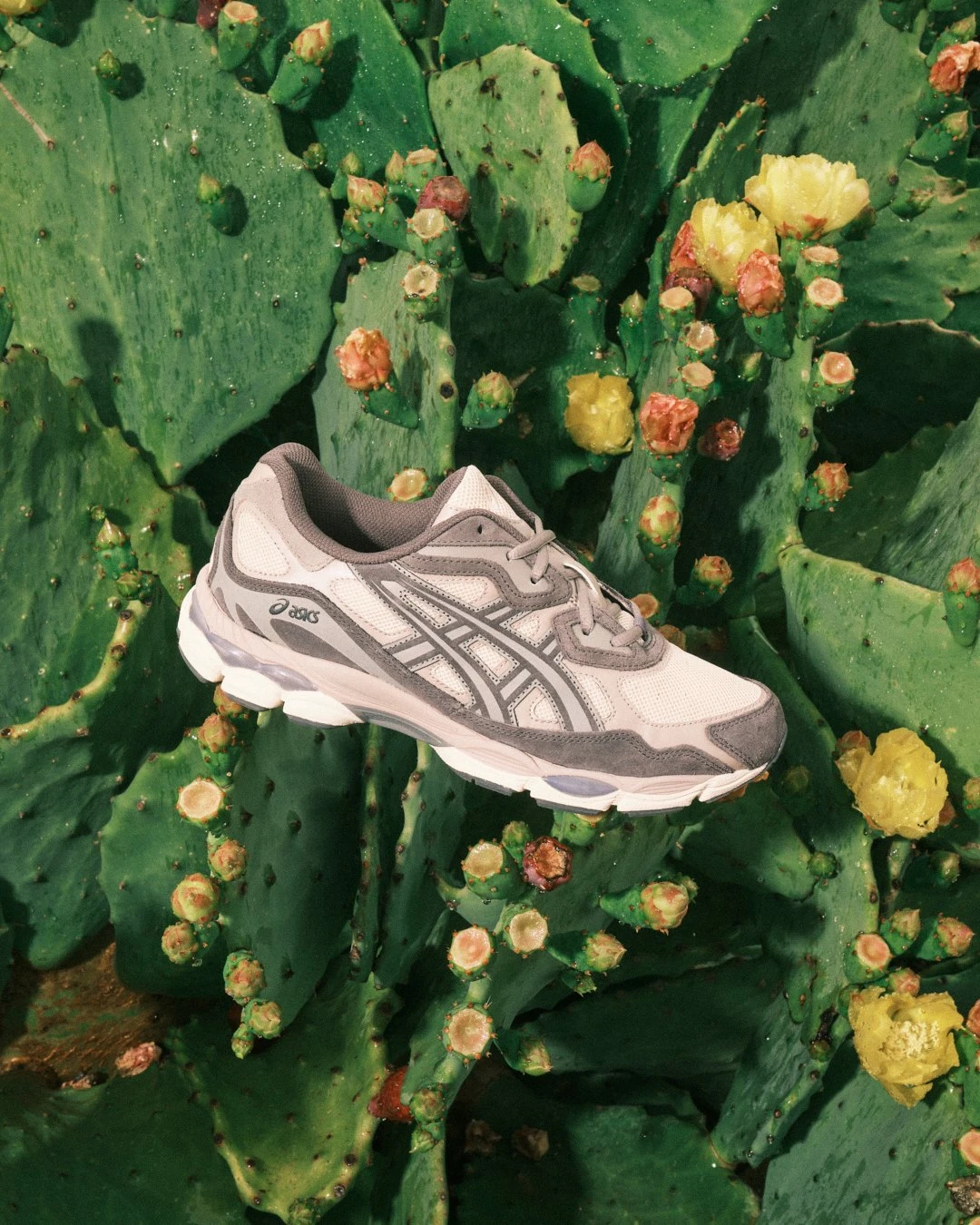 From Onitsuka Tiger to ASICS, a history of design and innovation – BLOG ...