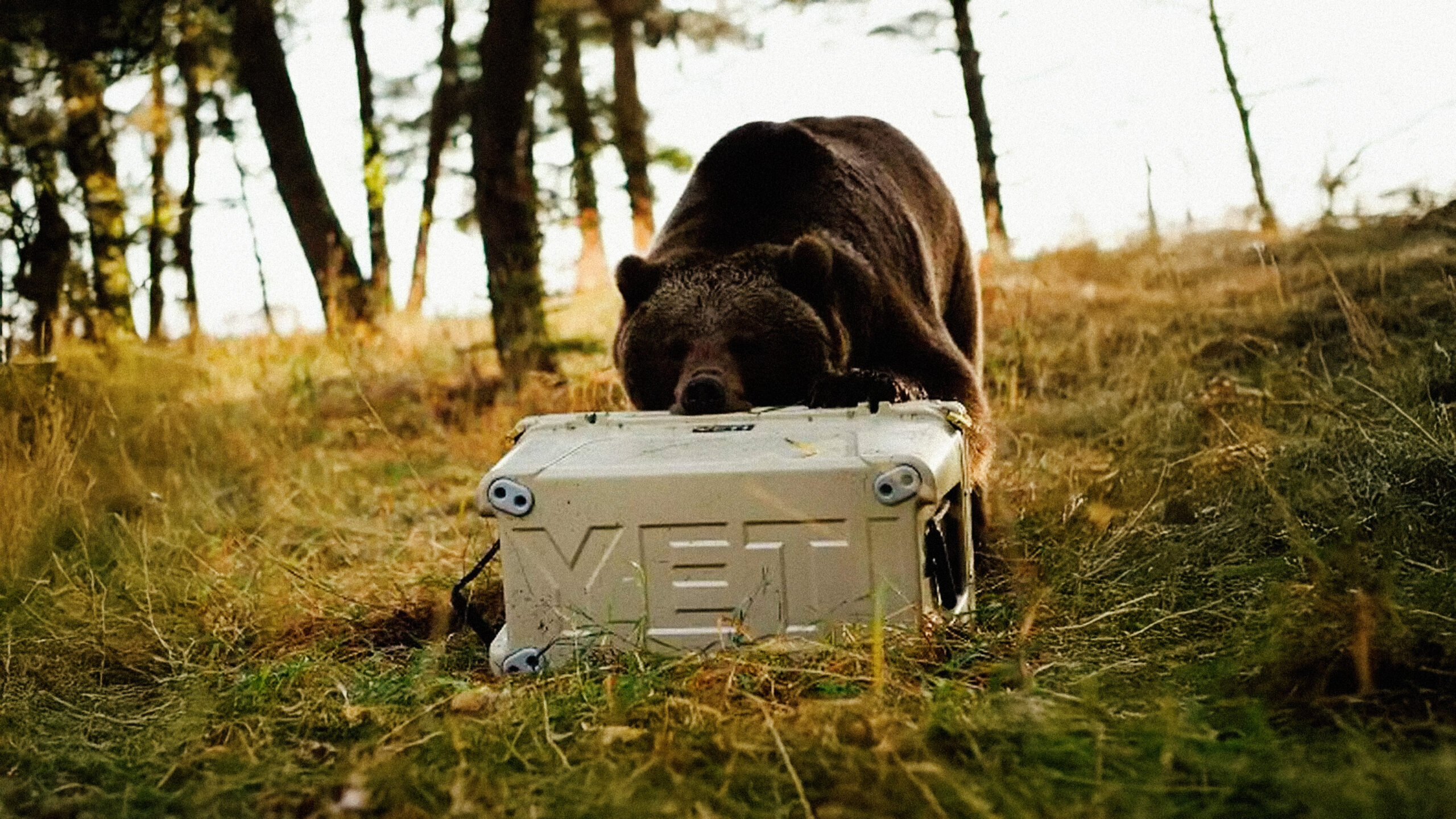 9 Facts About YETI: The Brand That Revolutionized the Outdoor World ...