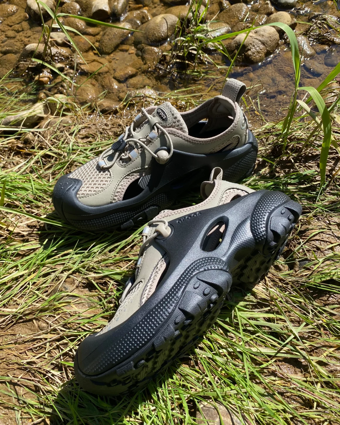 Amphibians Among Us – BLOG | FOOTDISTRICT