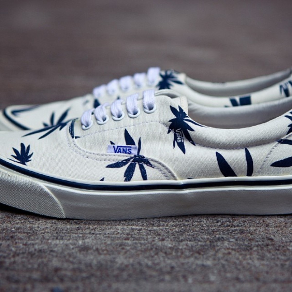 Las 6 mejores fotos de Vans en Instagram – BLOG | FOOTDISTRICT