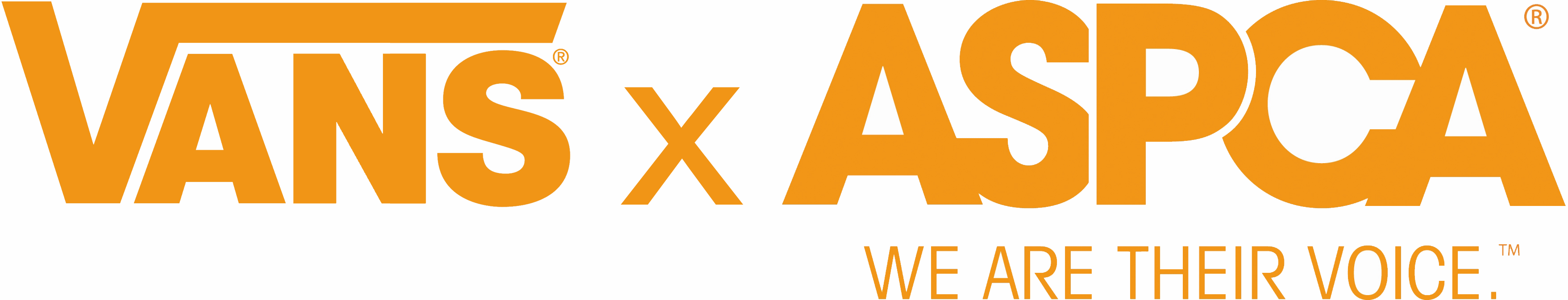 Vans x ASPCA, zapatillas solidarias. – BLOG | FOOTDISTRICT